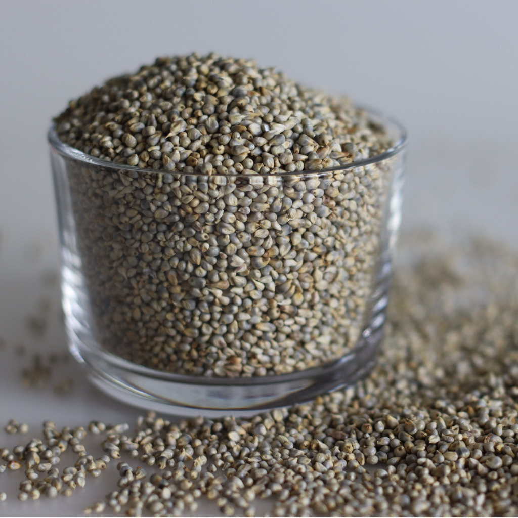 Sprouted Bajra Flour - The Millet Store