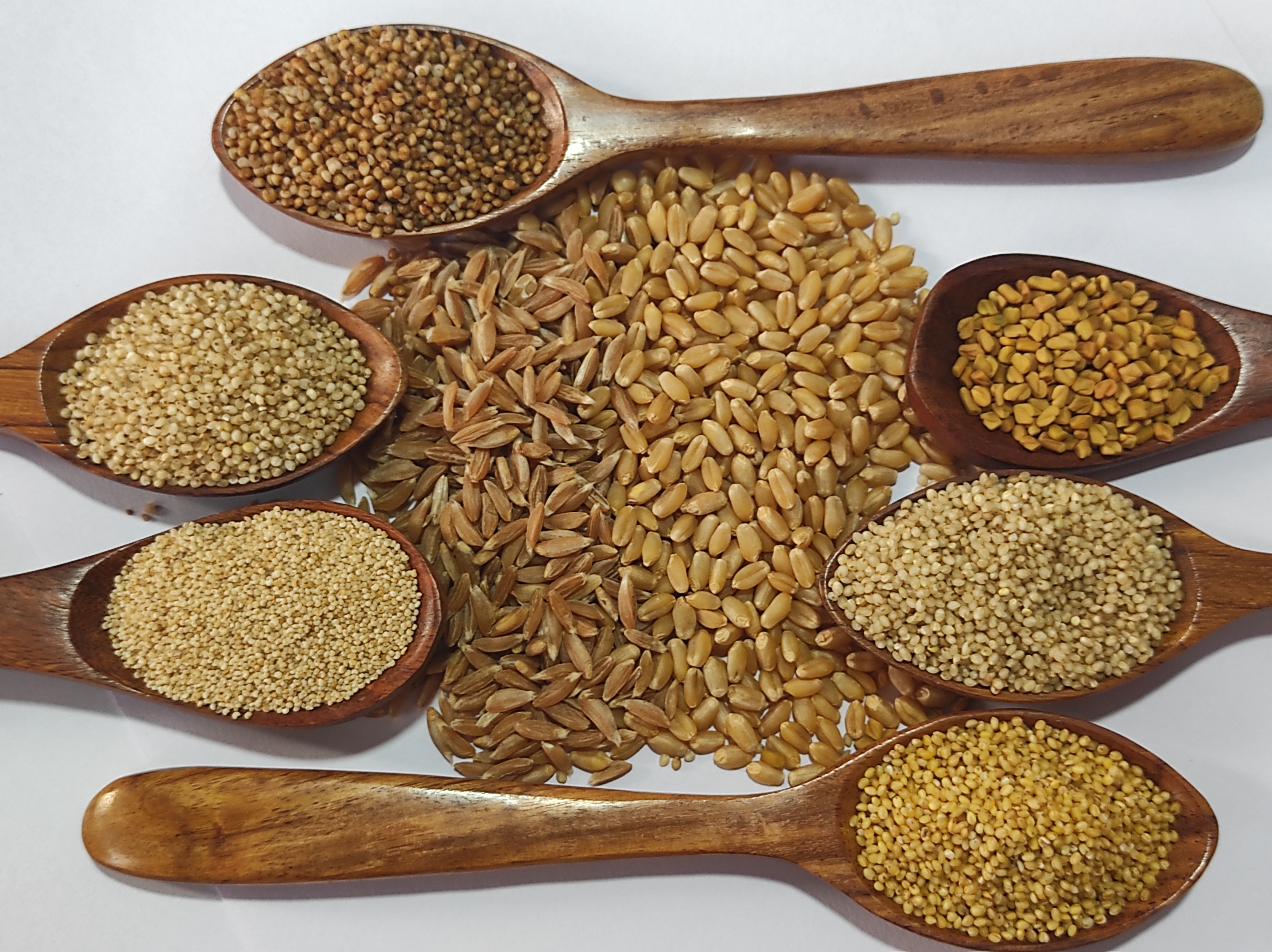 Multi Millet Atta (5 Millets) - The Millet Store