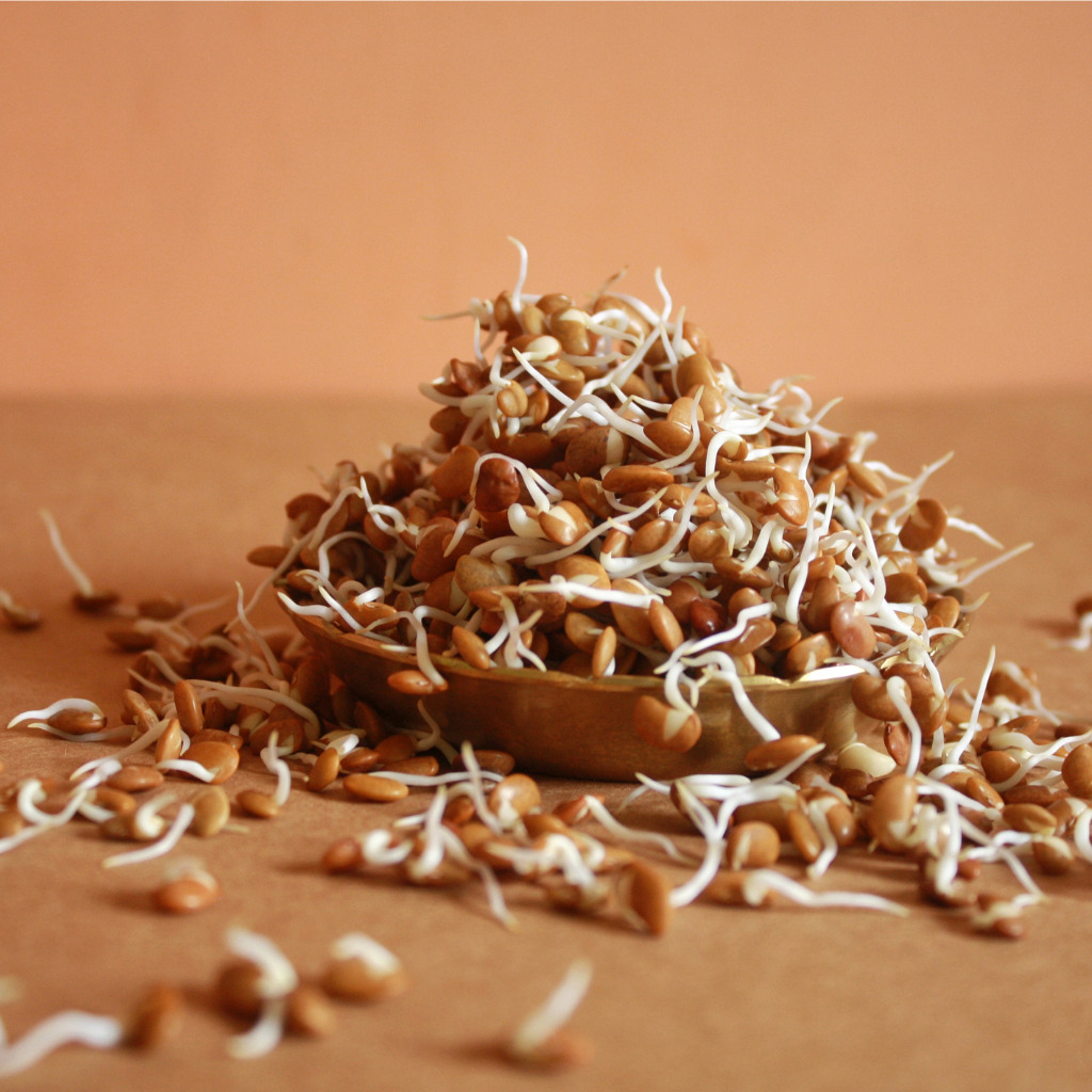 SPROUTED FLOURS (MILLETS & GRAINS) - The Millet Store