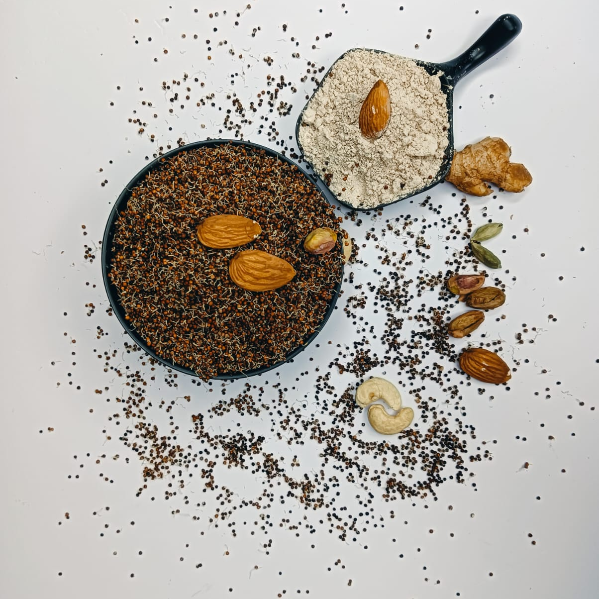Sprouted Ragi & Nuts Malt Powder - 8+ Months - The Millet Store