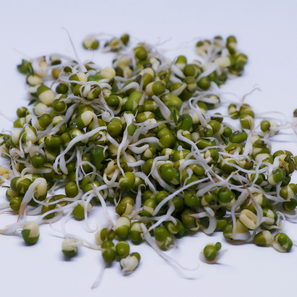 Sprouted Green Gram Flour - The Millet Store